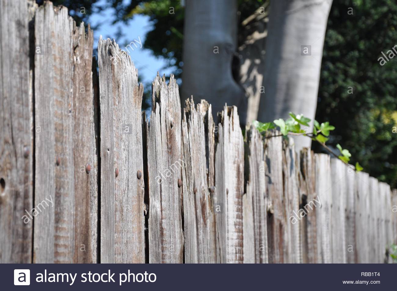 Timber Slat Stock Photos & Timber Slat Stock Images - Alamy