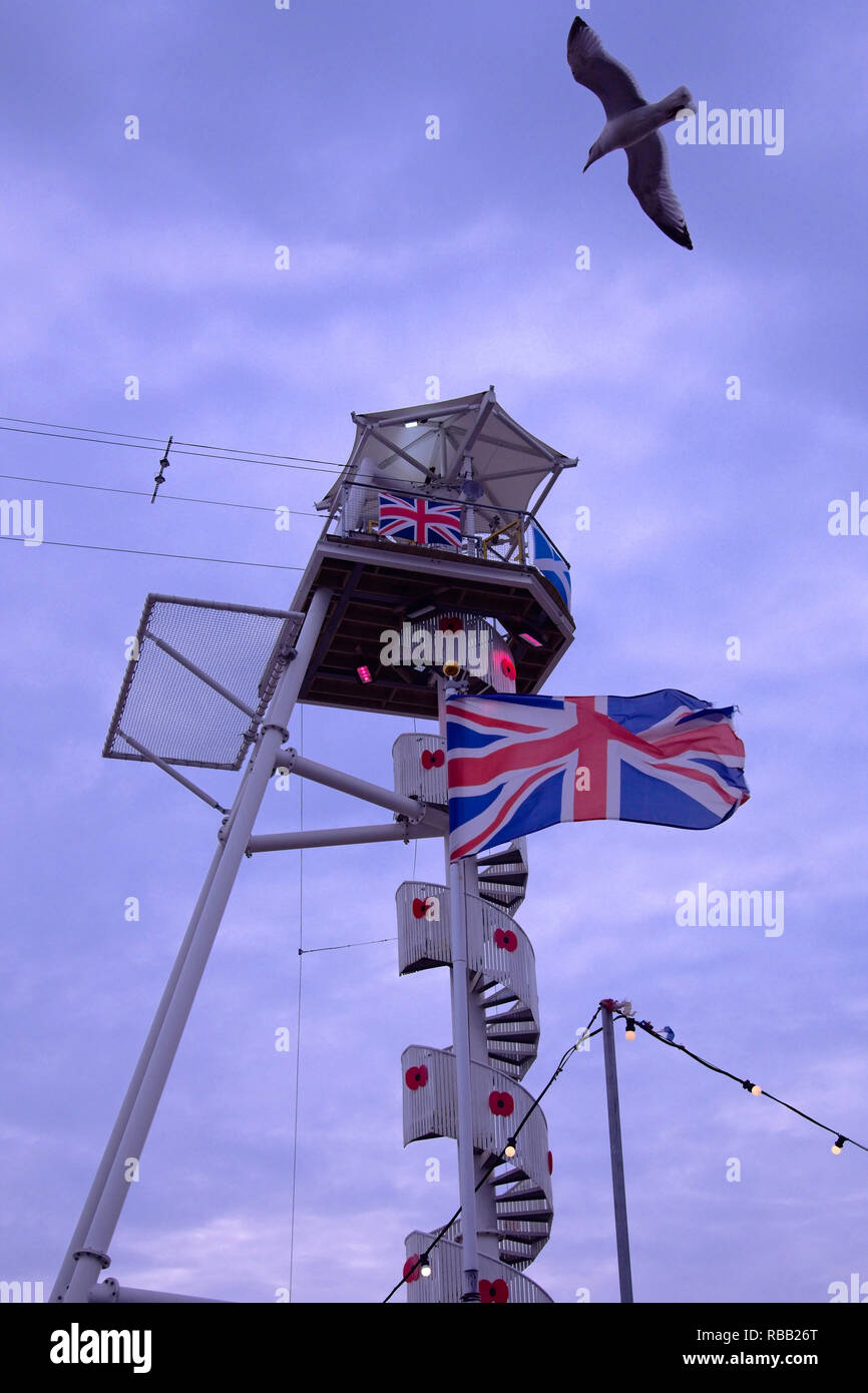 Brighton zip and bird flying at seaside, east sussex Stock Photo - Alamy