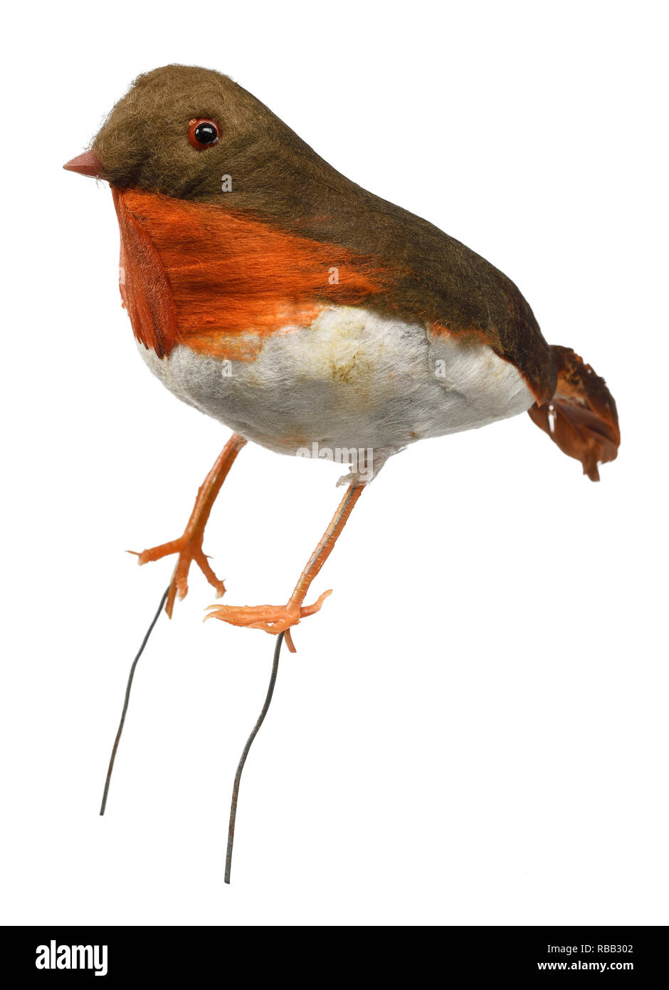 The life of the robin hi-res stock photography and images - Alamy