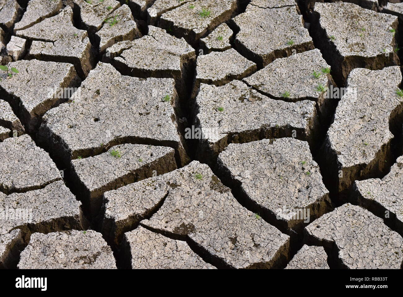 Dry season cracked ground and green grass Stock Photo - Alamy
