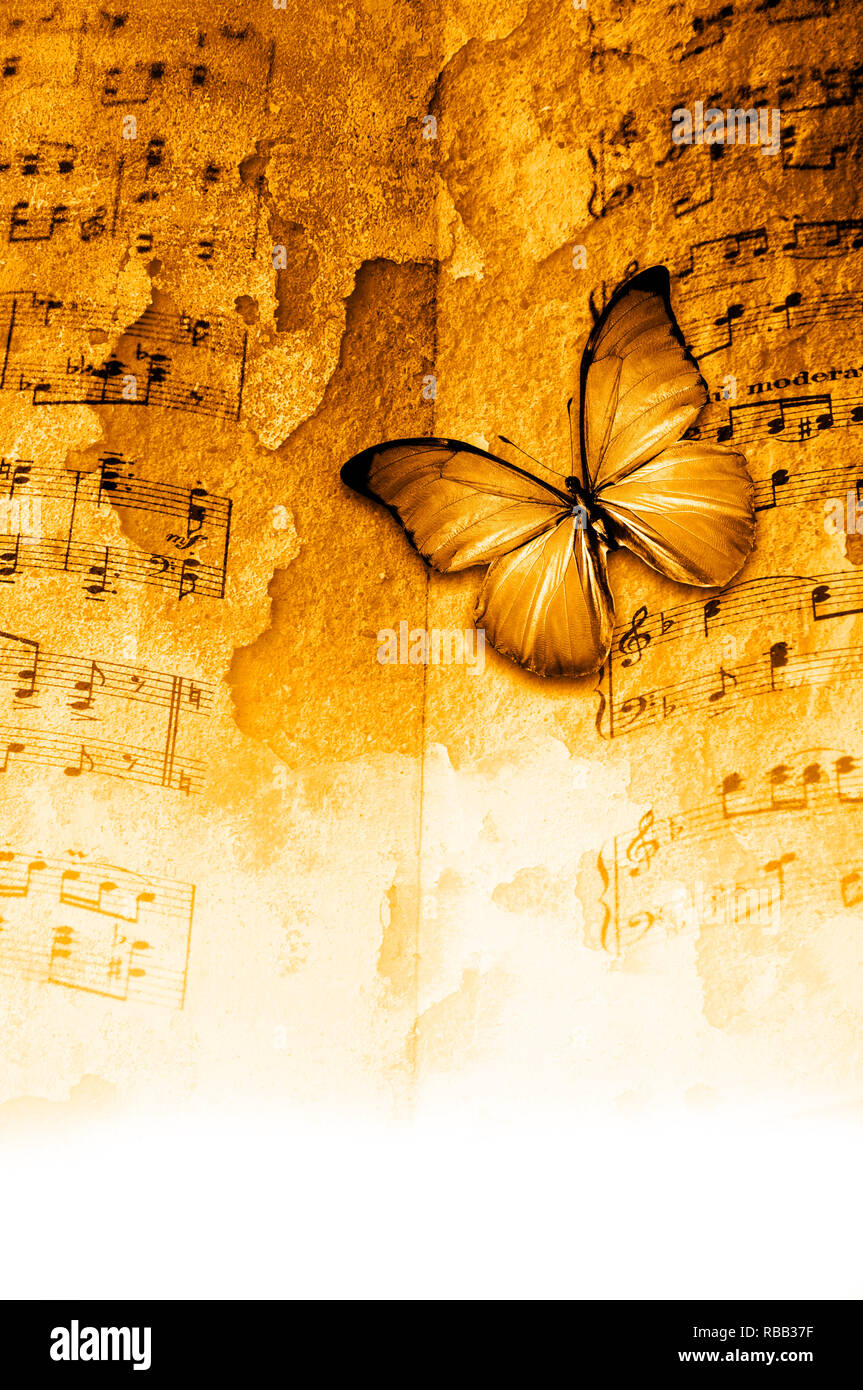 composite of butterfly, music sheet and grunge wall Stock Photo - Alamy