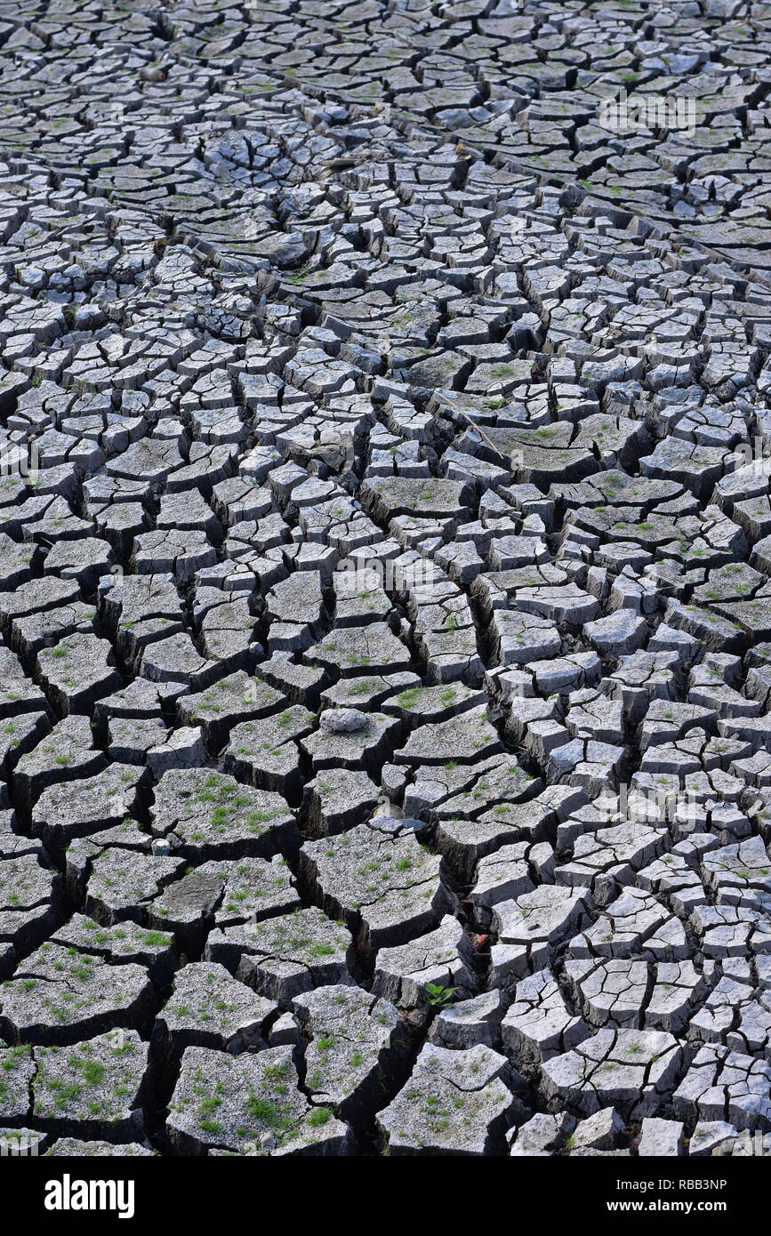Dry season cracked ground and green grass Stock Photo - Alamy