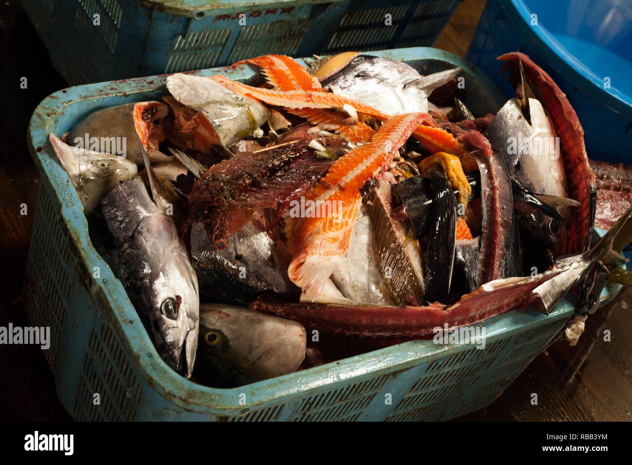 Fish scraps in box at Tsukiji market Tokyo in Japan Stock Photo - Alamy
