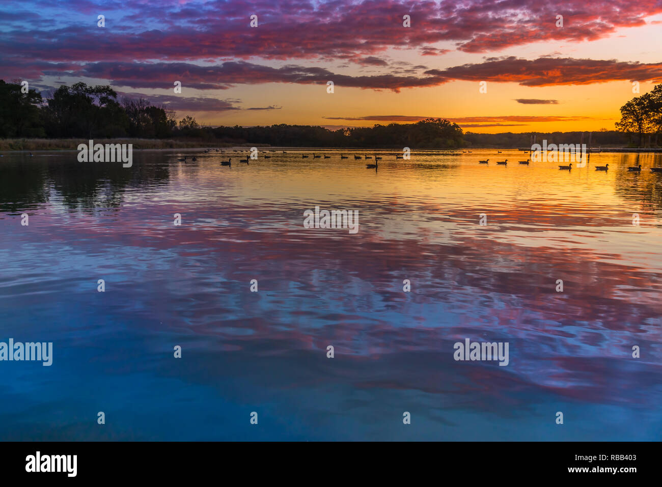 Colorful sunset swimming hi-res stock photography and images - Alamy