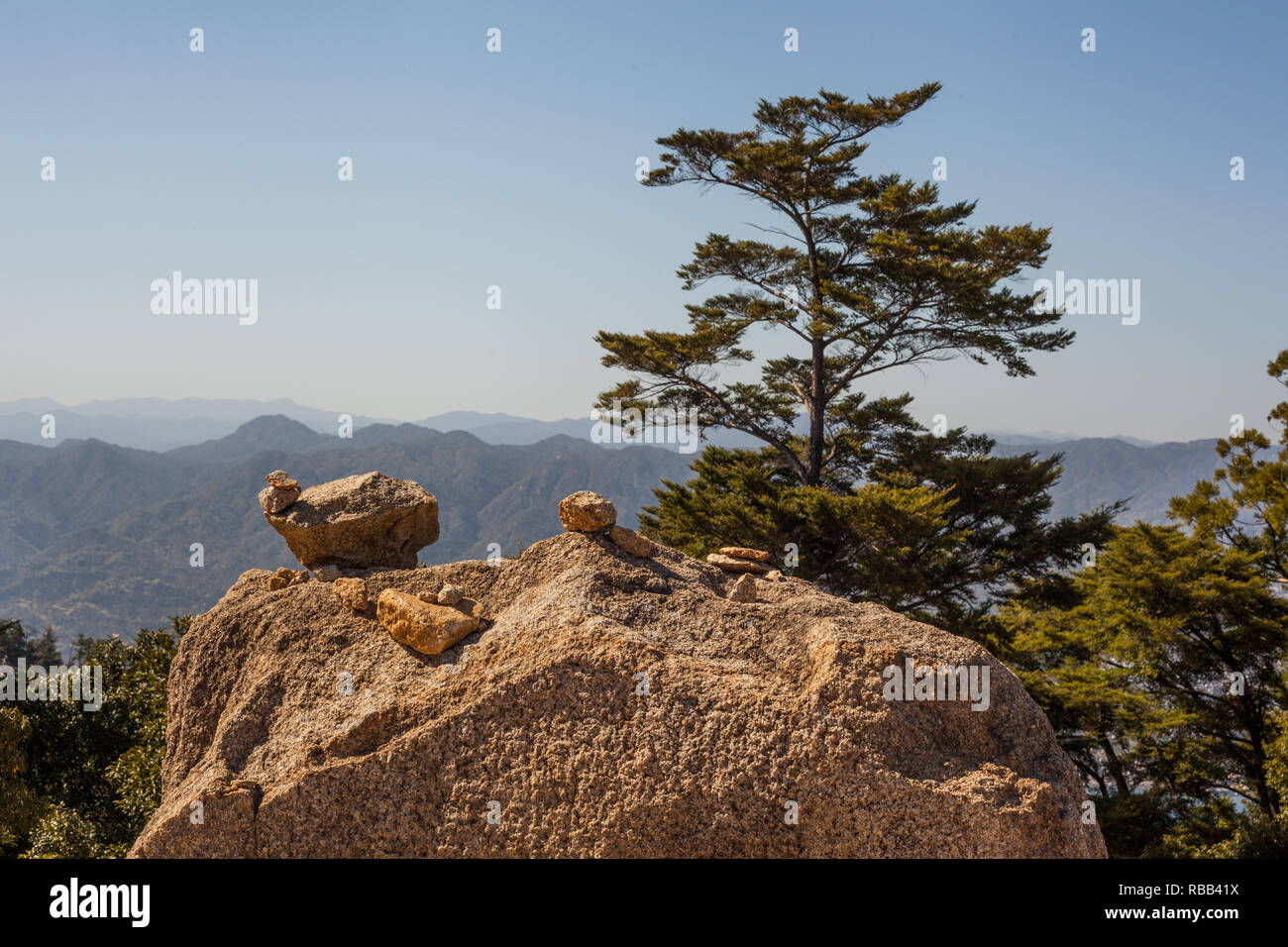 Fir trees from sea hi-res stock photography and images - Alamy
