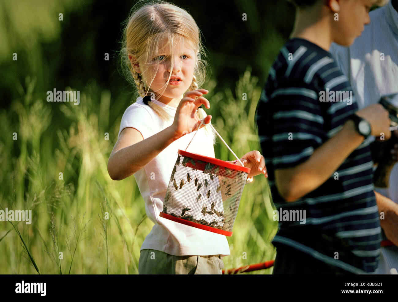 Young girl holding a cage full of bugs Stock Photo - Alamy