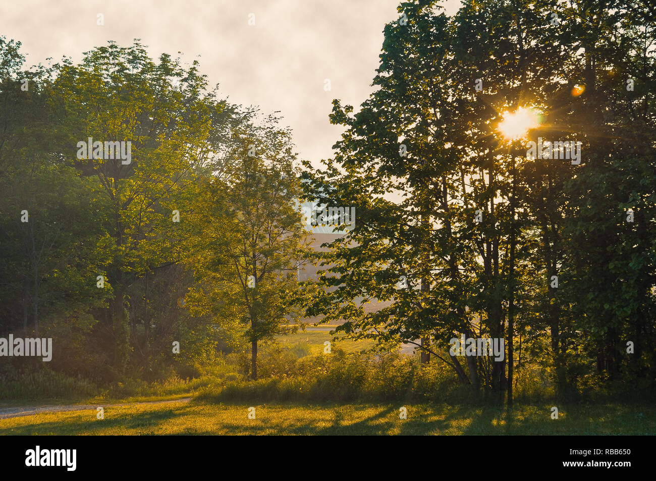 Shining early morning sun hi-res stock photography and images - Alamy