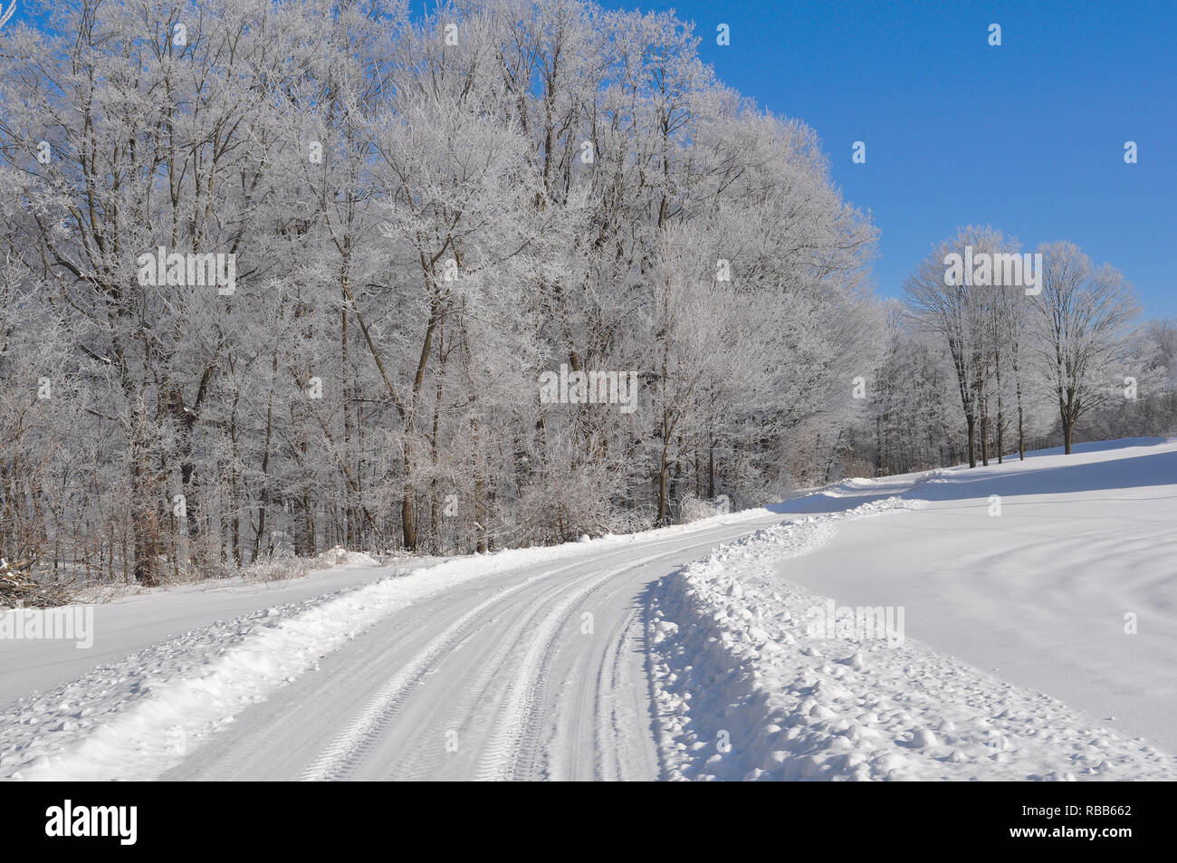 Ice storm beautiful hi-res stock photography and images - Alamy