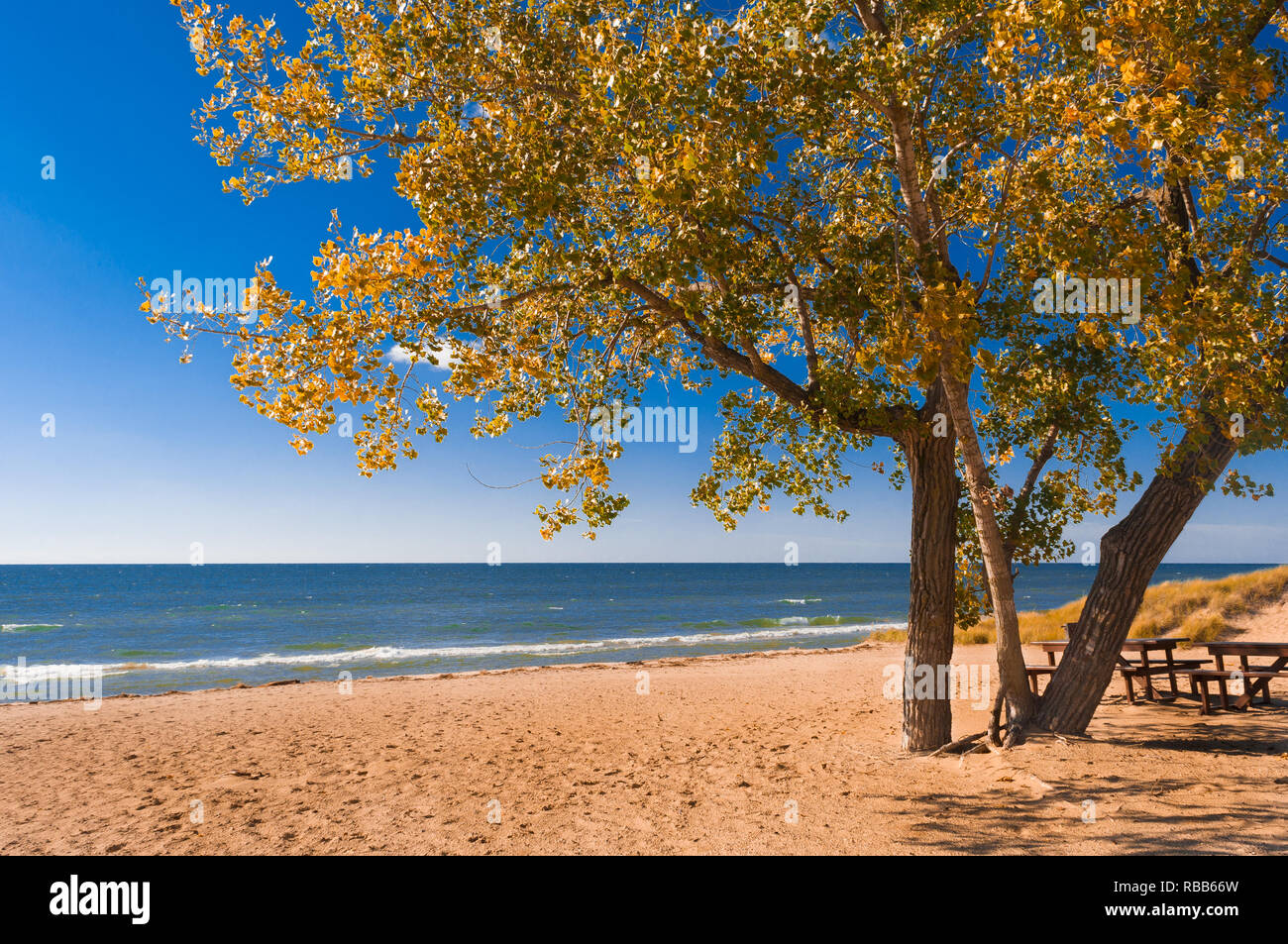 Early Fall at the Beach Stock Photo - Alamy
