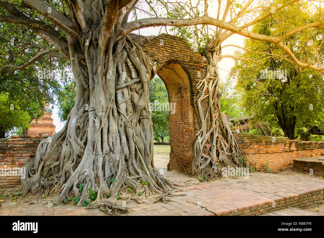 Phra ngam hi-res stock photography and images - Alamy