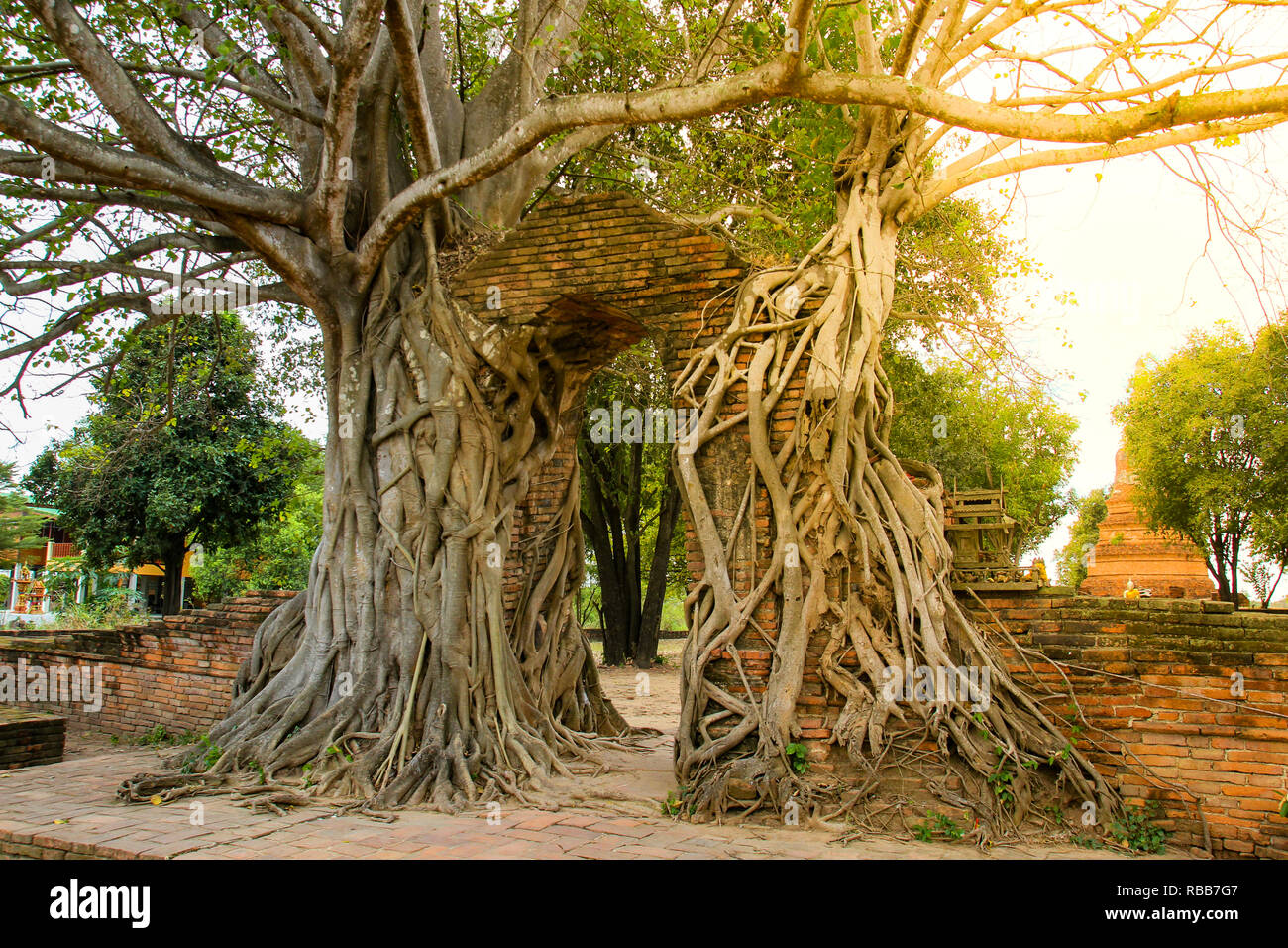 Phra ngam hi-res stock photography and images - Alamy