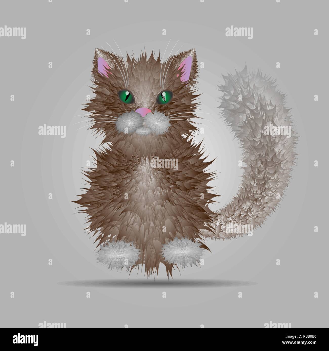 Vector illustration of a fluffy cat isolated on gray background. 10 eps ...