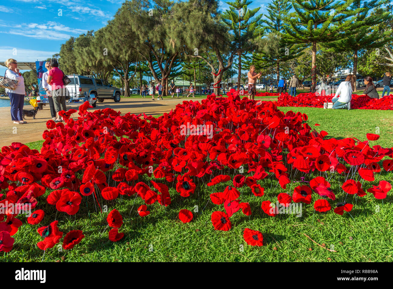 Woven poppies hi-res stock photography and images - Alamy