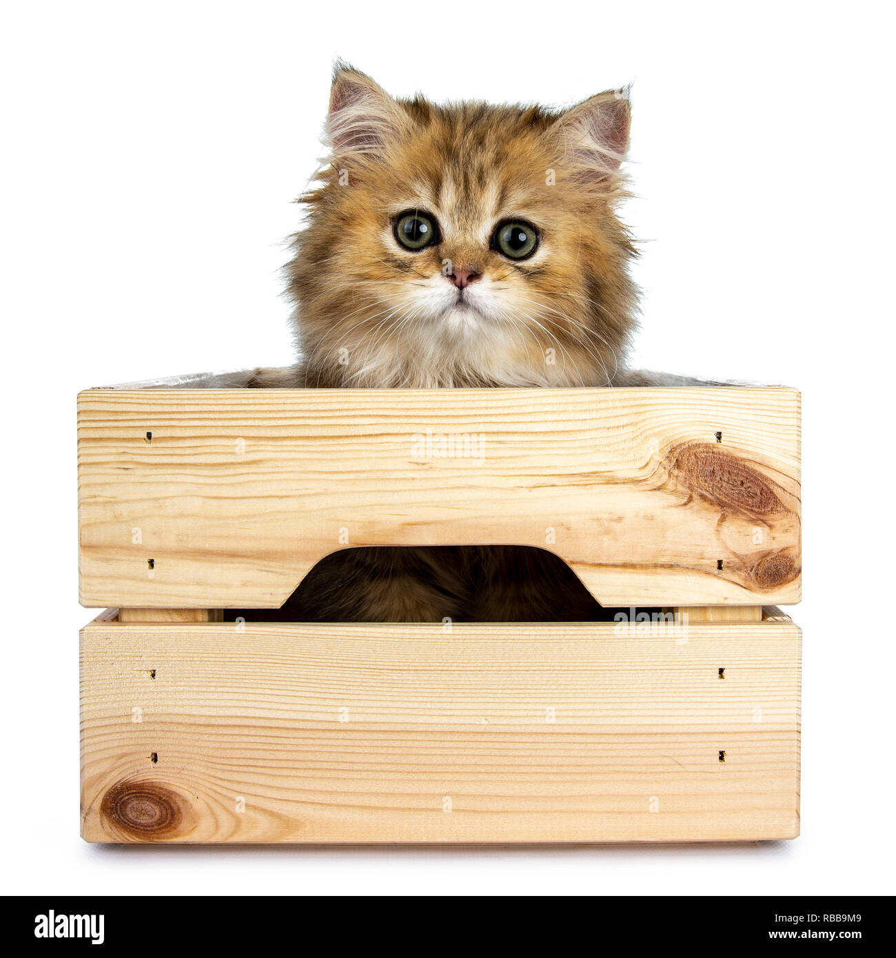 Big wooden crate hi-res stock photography and images - Alamy