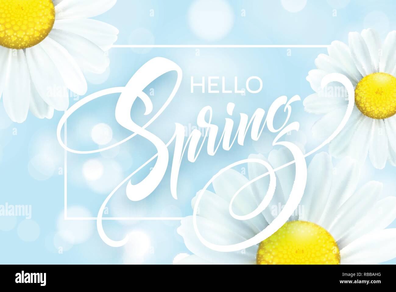 Daisy Flower Background and Hello Spring Lettering. Vector Illustration ...