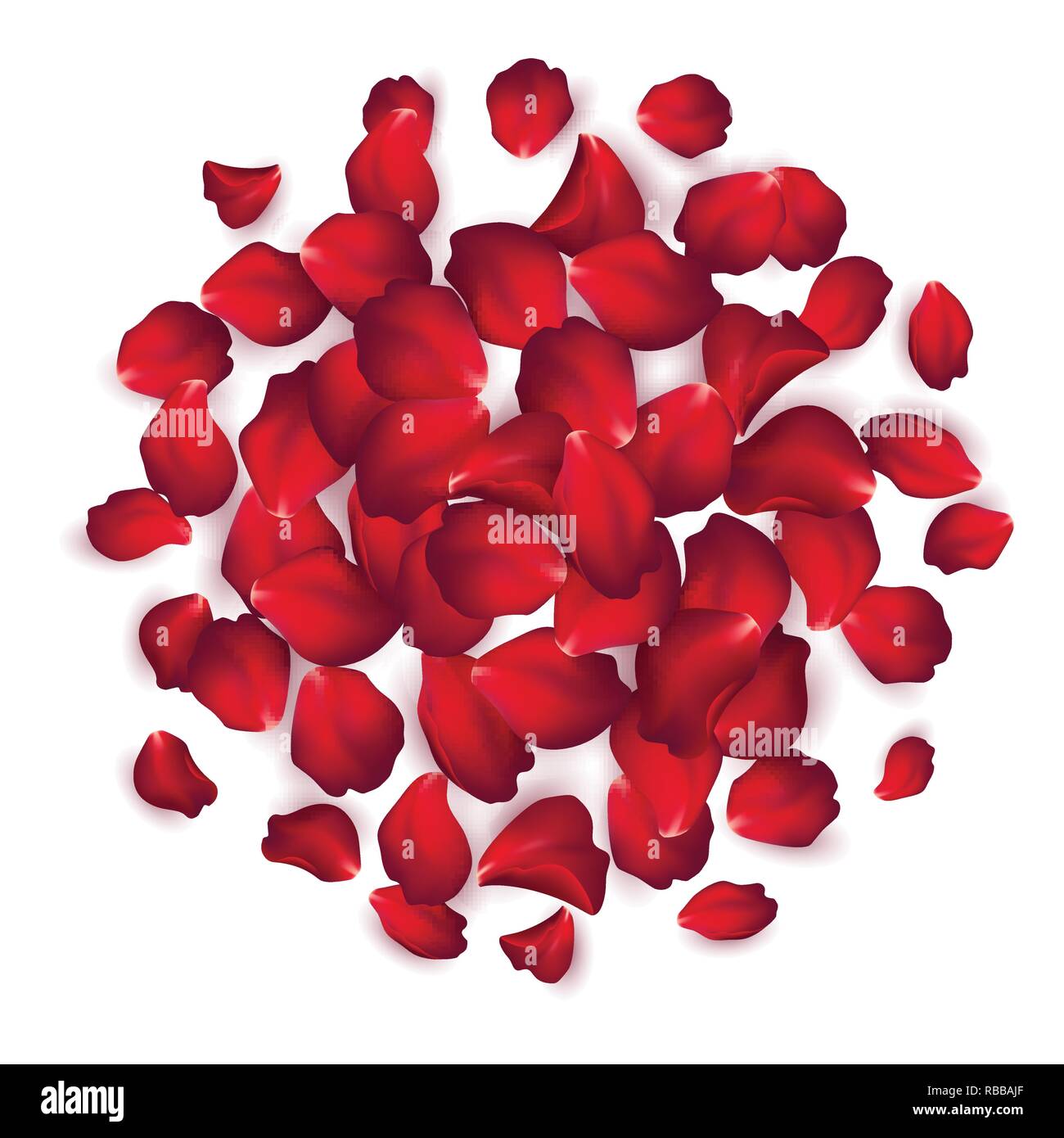 Falling red rose petals isolated on white background. Vector ...