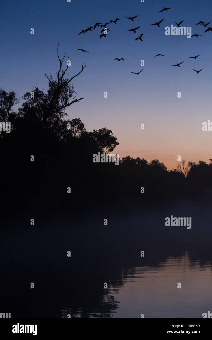 Murighiol hi-res stock photography and images - Alamy