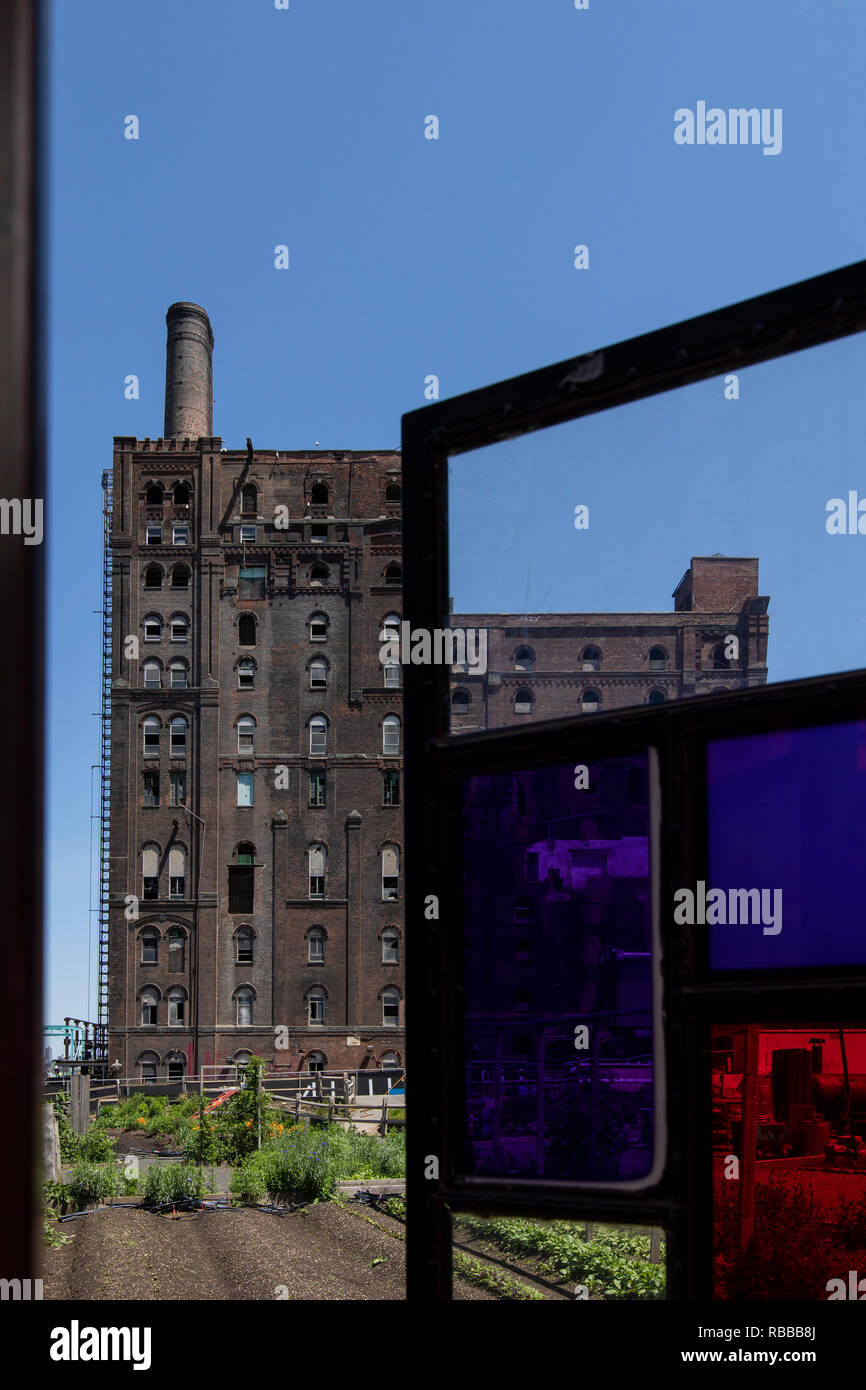 North Brooklyn Farms. New York City, USA Stock Photo - Alamy