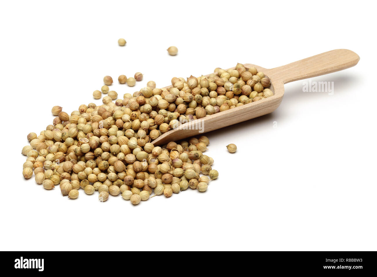 Coriander seeds with wooden spoon, isolated on white background Stock ...