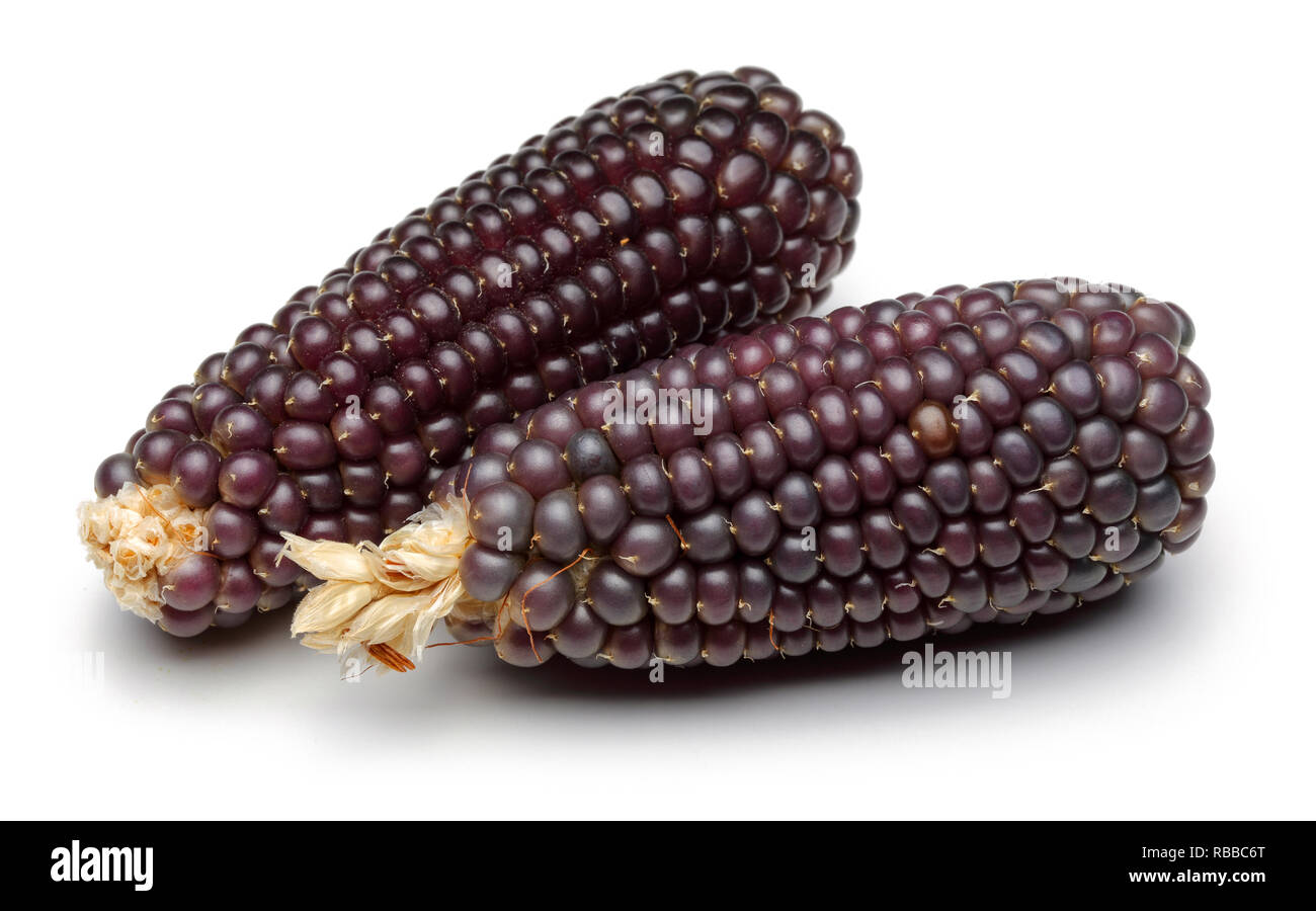 Purple corn isolated on white background Stock Photo - Alamy
