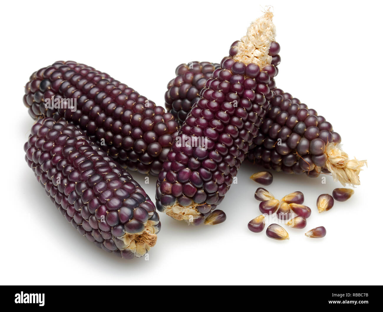 Purple corn isolated on white background Stock Photo - Alamy