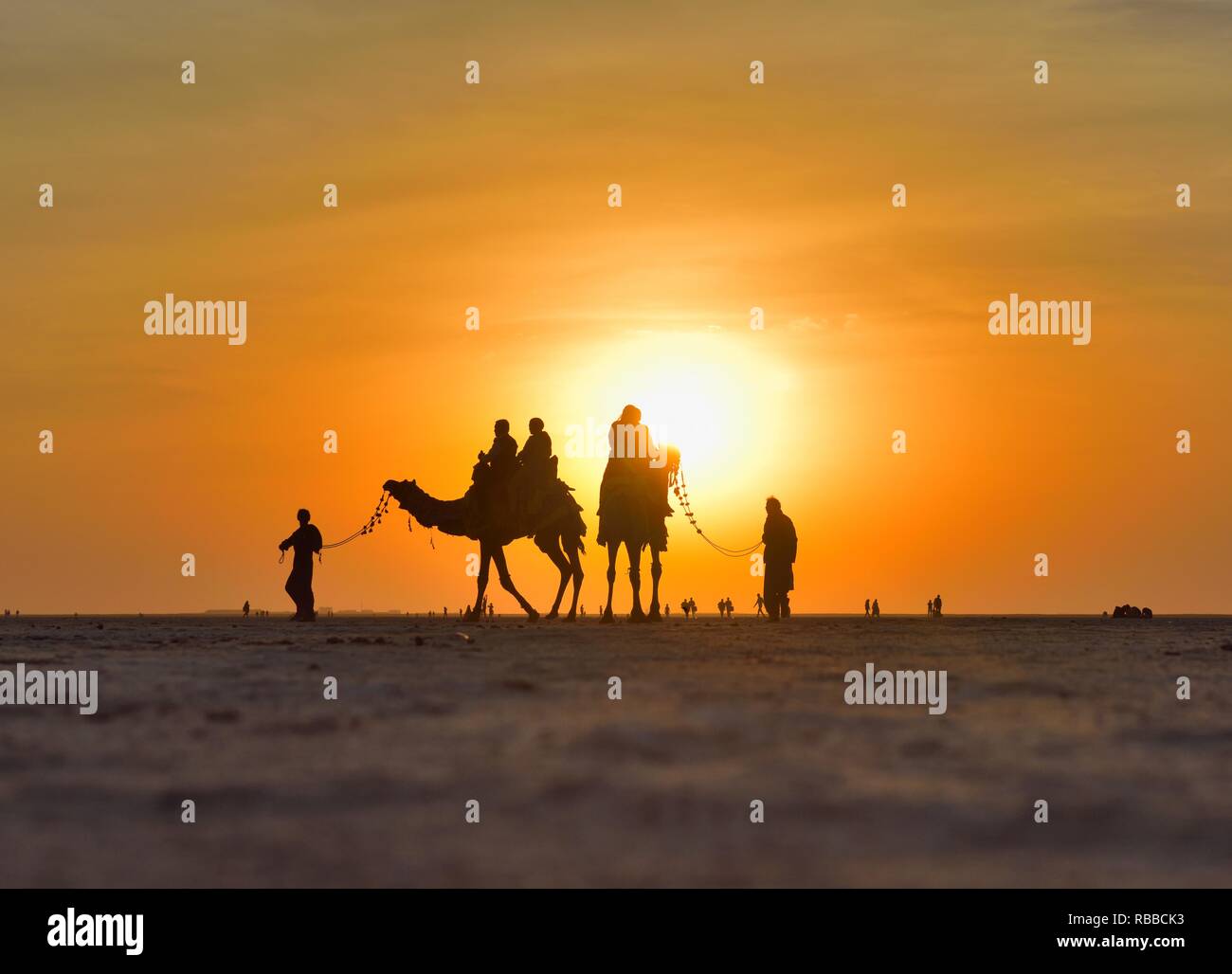 Ran of kutch gujarat hi-res stock photography and images - Alamy