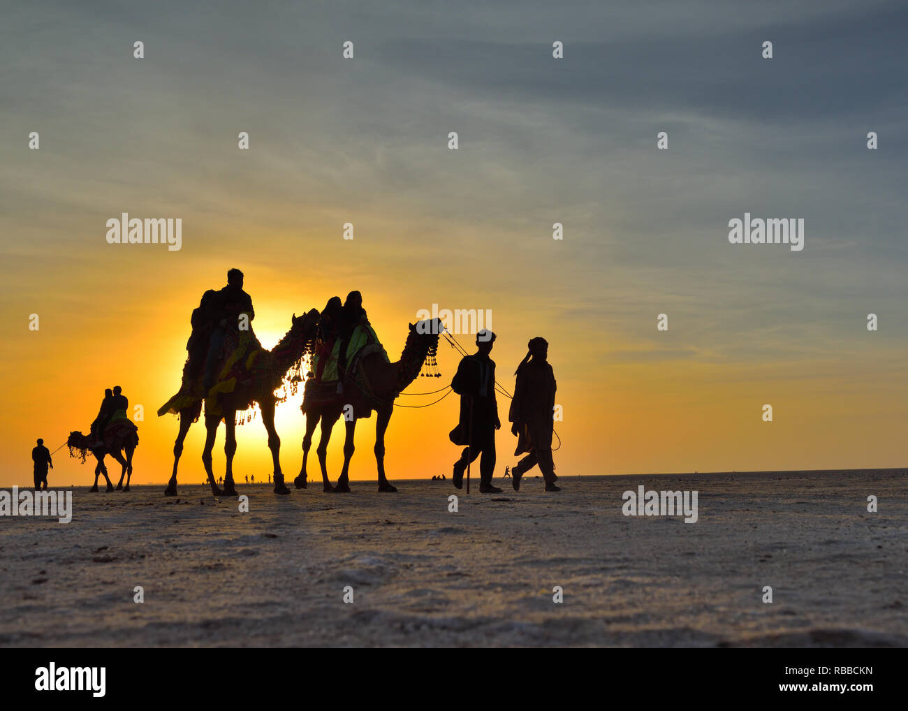 Visitors riding on camel in White Rann at Greater Rann of Kutch ...
