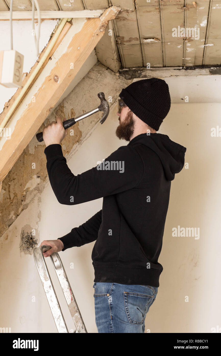 Handyman standing on a ladder and renovating a home, using tools like a ...