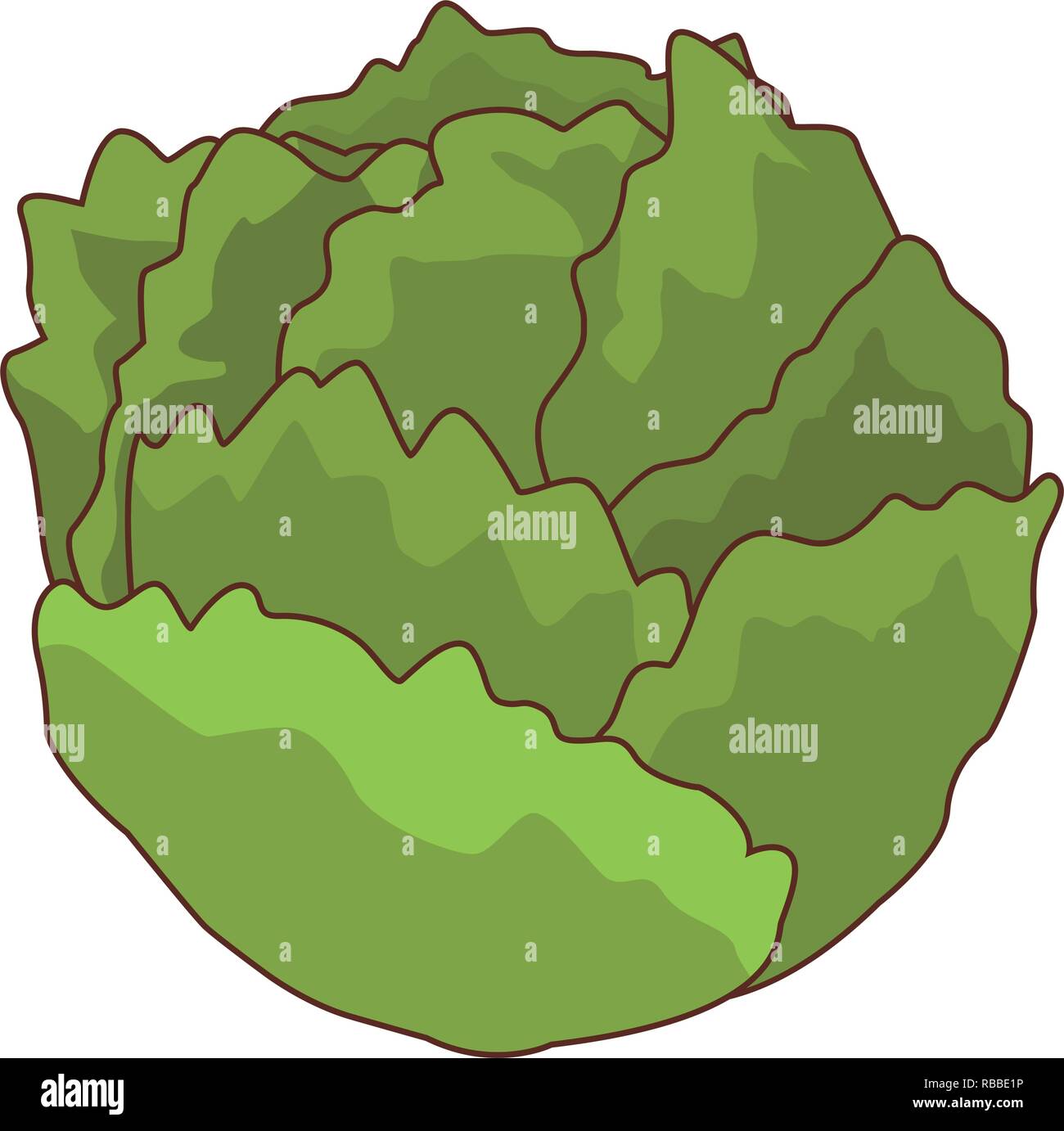 fresh vegetables cartoon Stock Vector Image & Art - Alamy