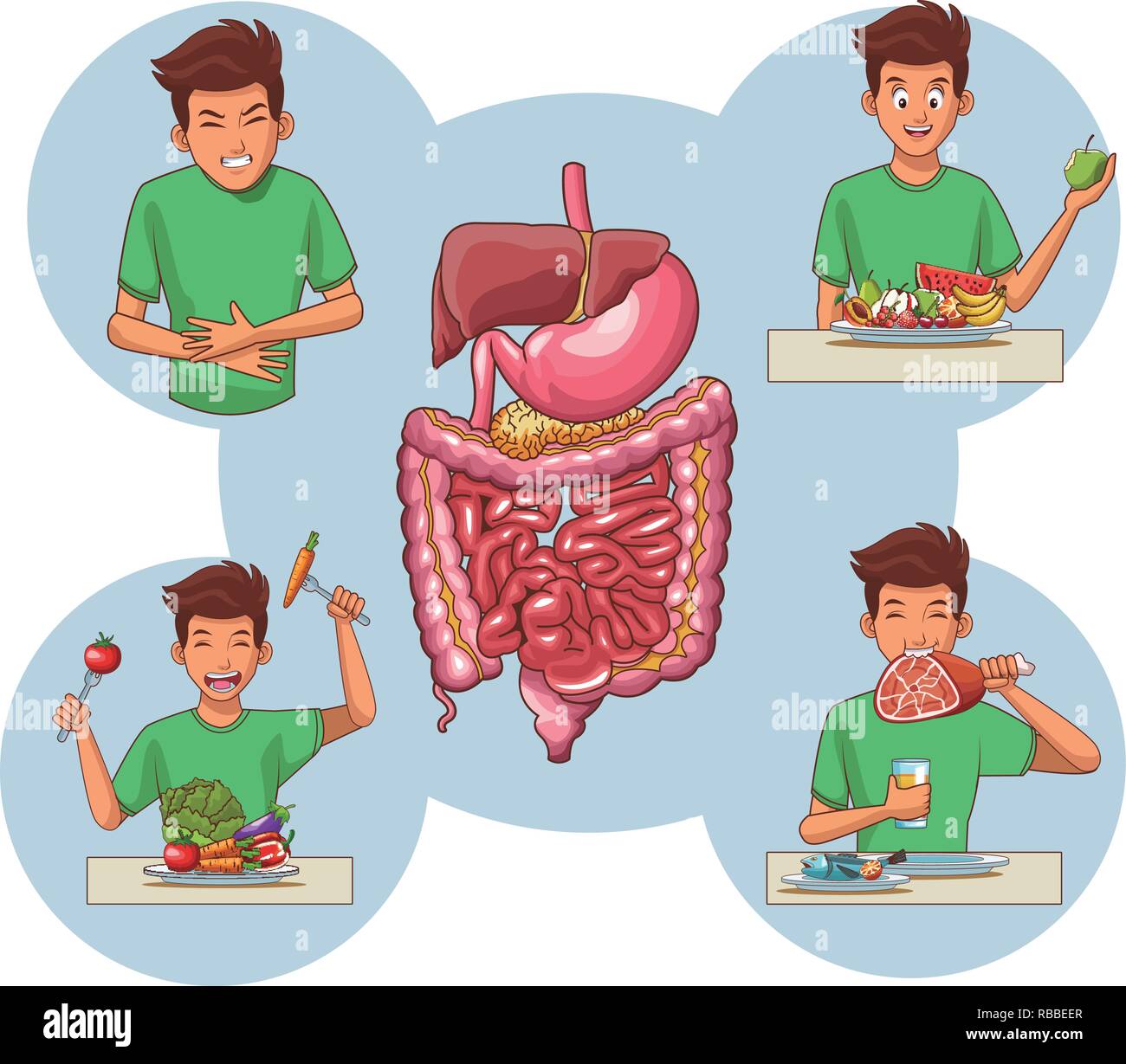 young human anatomy Stock Vector Image & Art - Alamy