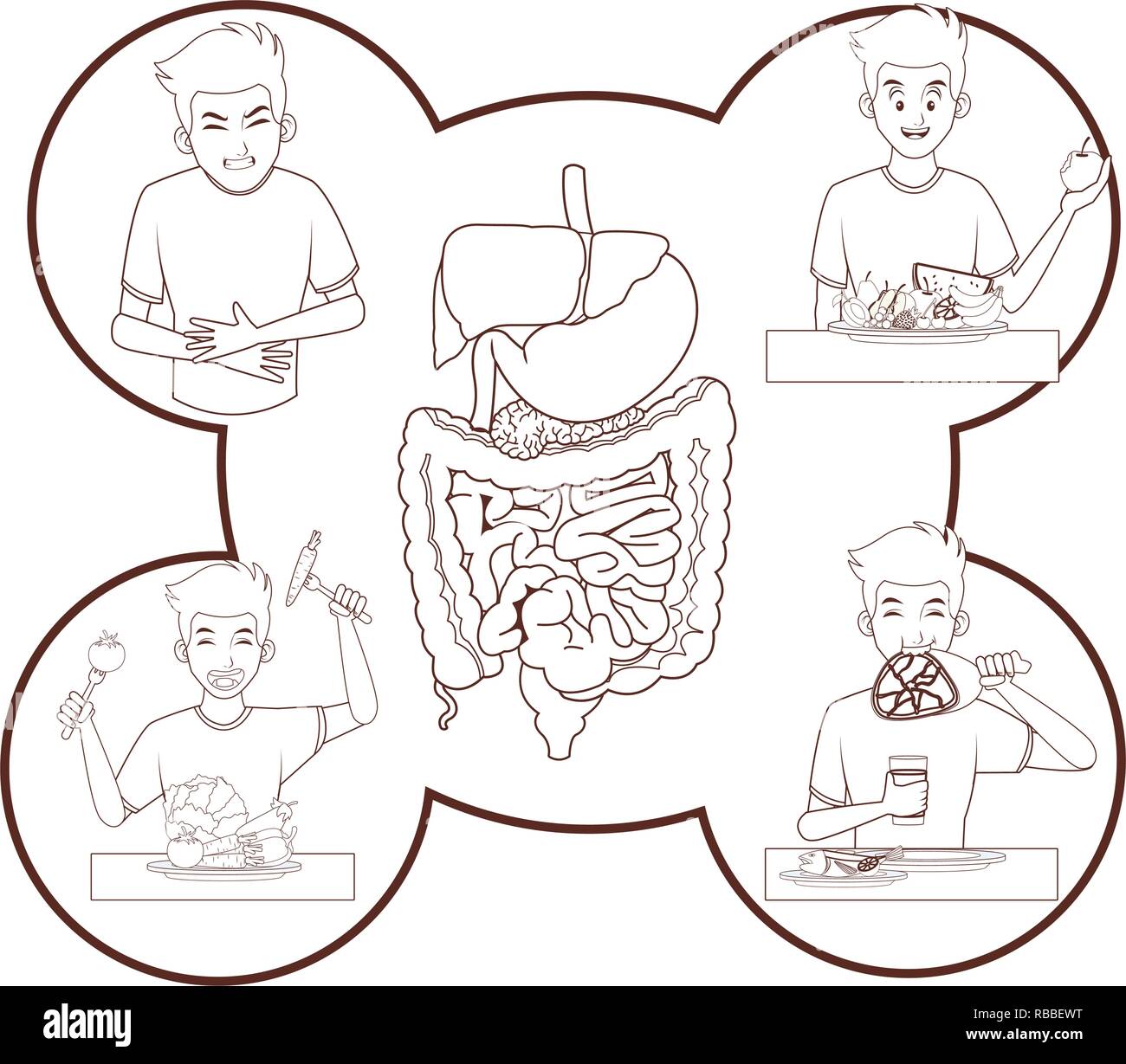 Human feeding system hi-res stock photography and images - Alamy