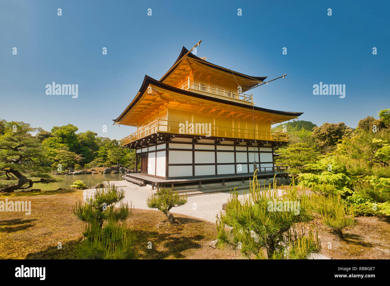 The Golden Pavilion, or Kinkaku-ji, Kyoto, Honshu, Japan Stock Photo ...