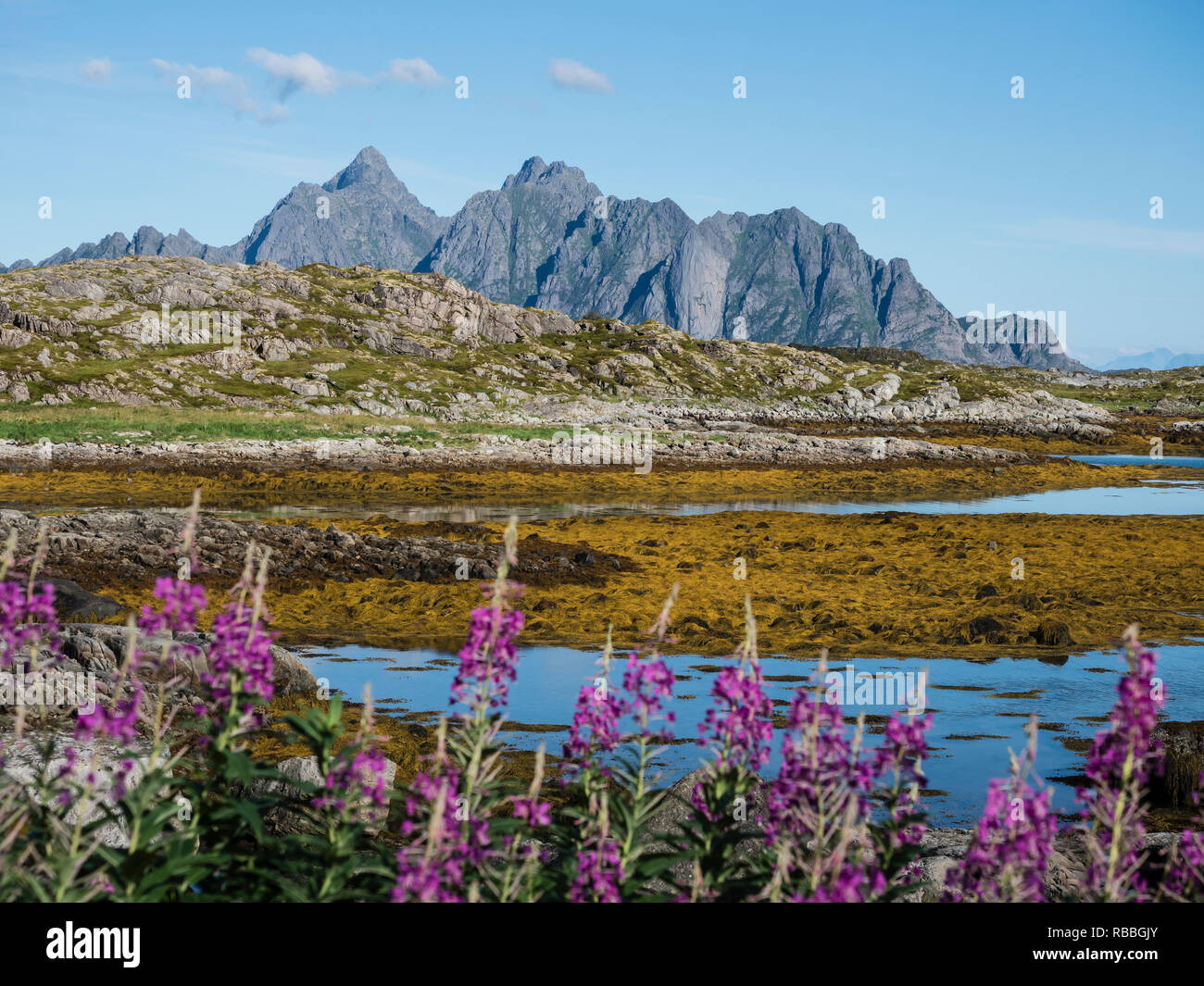 Stamsund in lofoten islands hi-res stock photography and images - Alamy