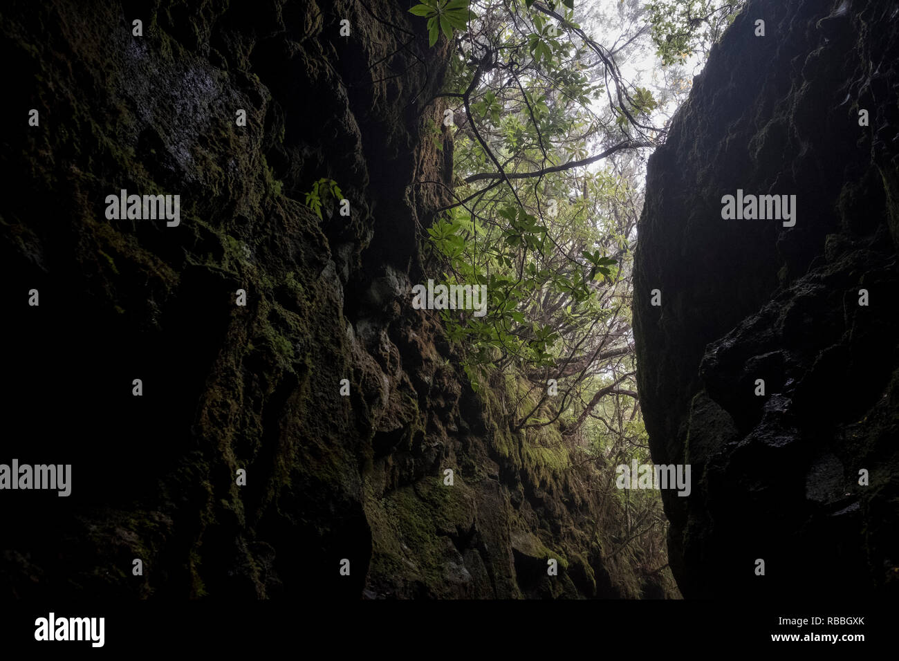 Madeira, Portugal - 12 June 2017: Narrow passageway along Pináculo and ...
