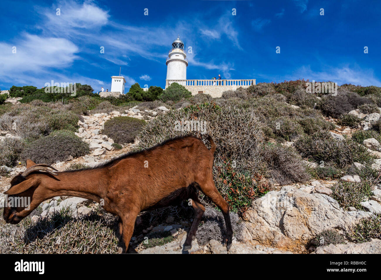 Formentor cape lighthouse hi-res stock photography and images - Alamy