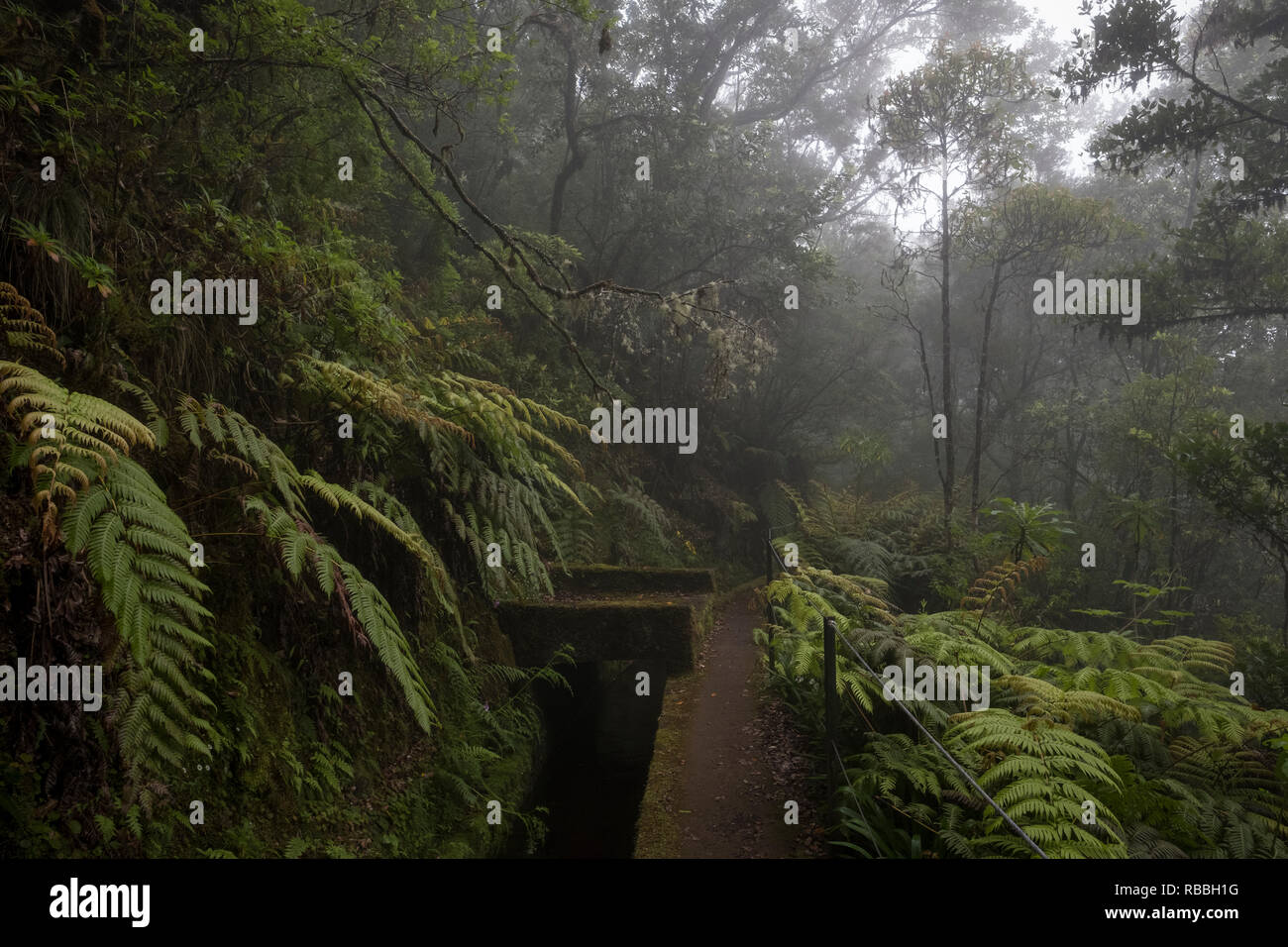 Madeira, Portugal - 12 June 2017: Levada along Pináculo and Folhadal ...