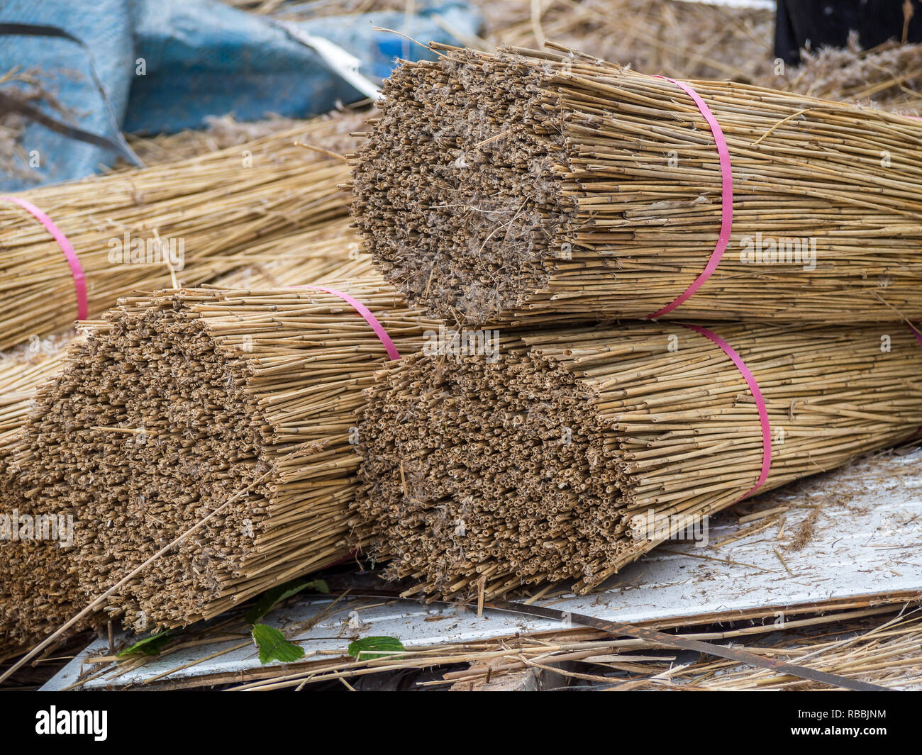 Sylt material hi-res stock photography and images - Alamy