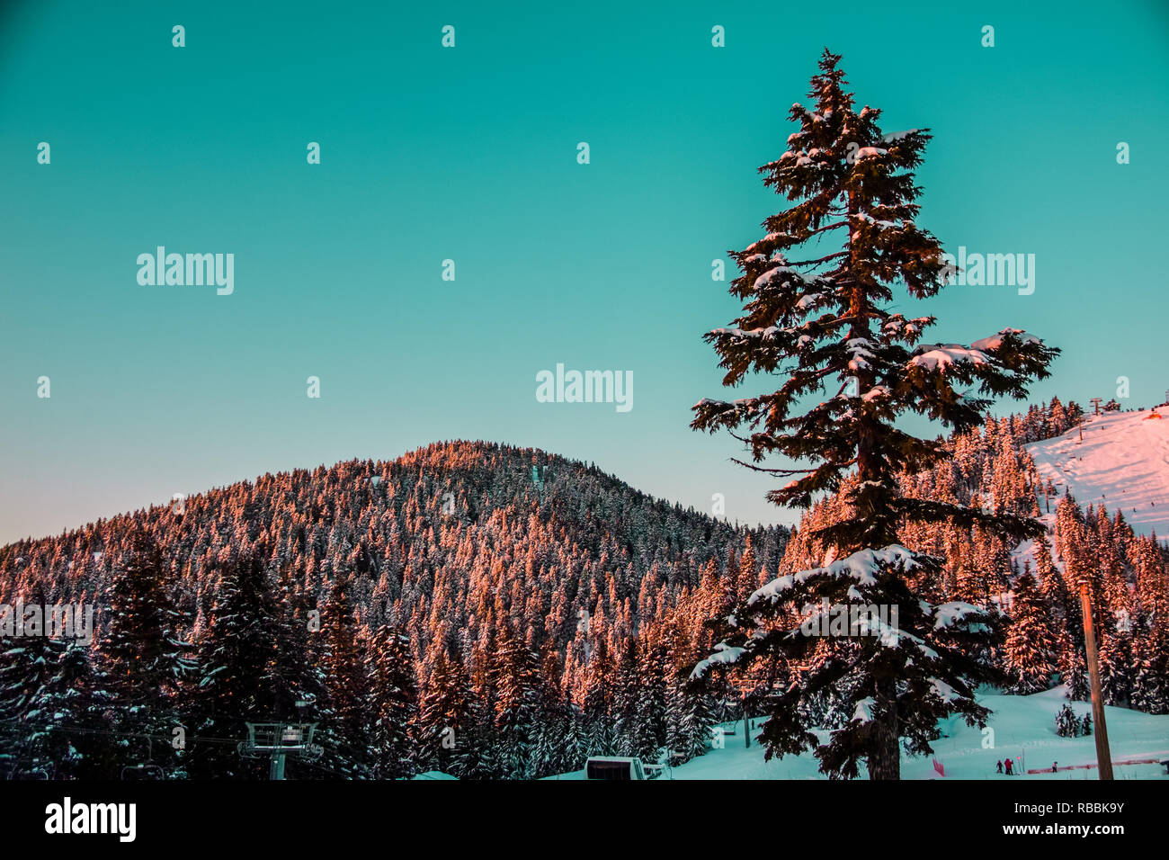 Photo of Grouse Mountain in North Vancouver, BC, Canada Stock Photo - Alamy