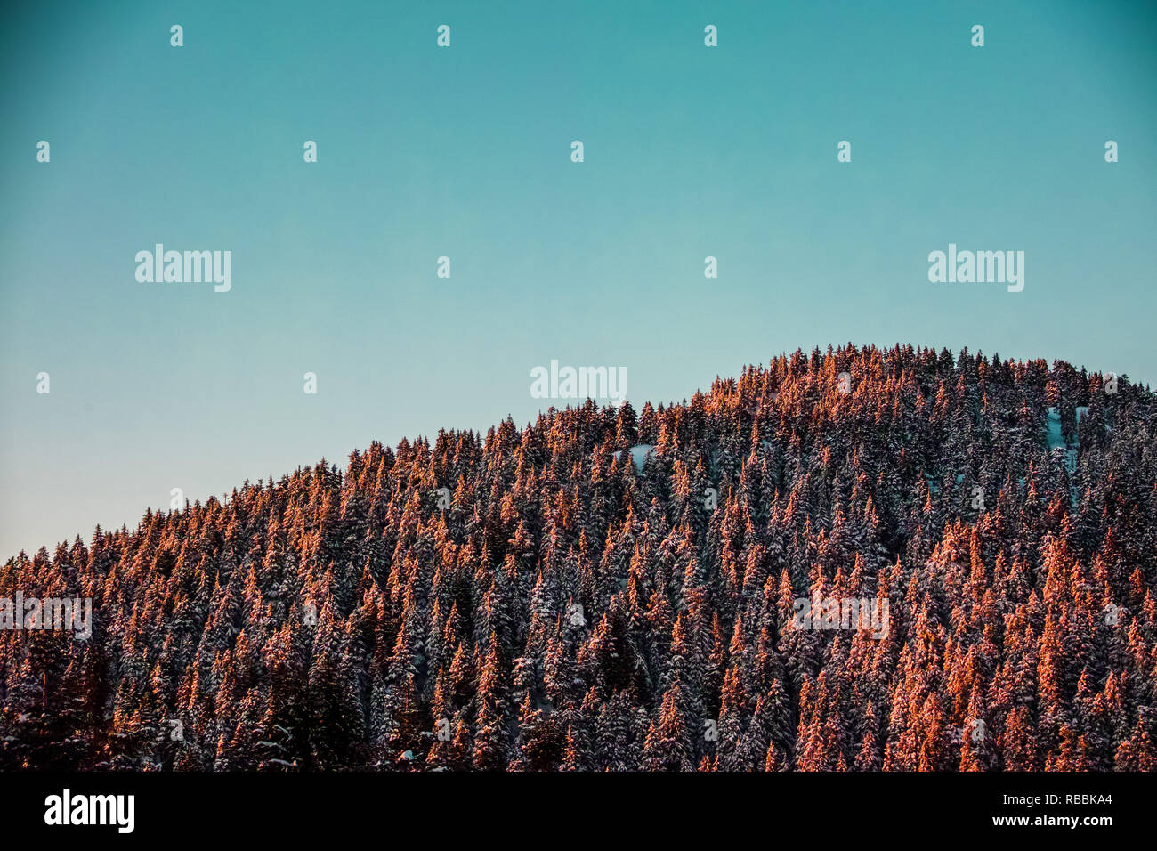 Photo of Grouse Mountain in North Vancouver, BC, Canada Stock Photo - Alamy