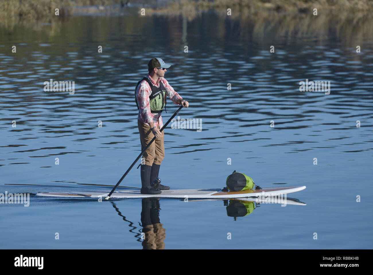 Paddle boarding on the Puntledge River, Courtenay, Vancouver Island, B ...