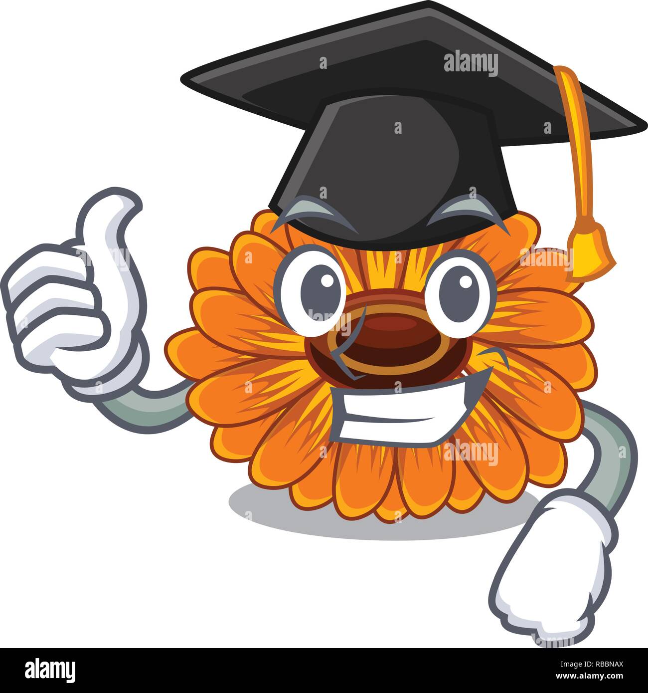 Graduation calendula flowers in a cartoon basket Stock Vector Image ...