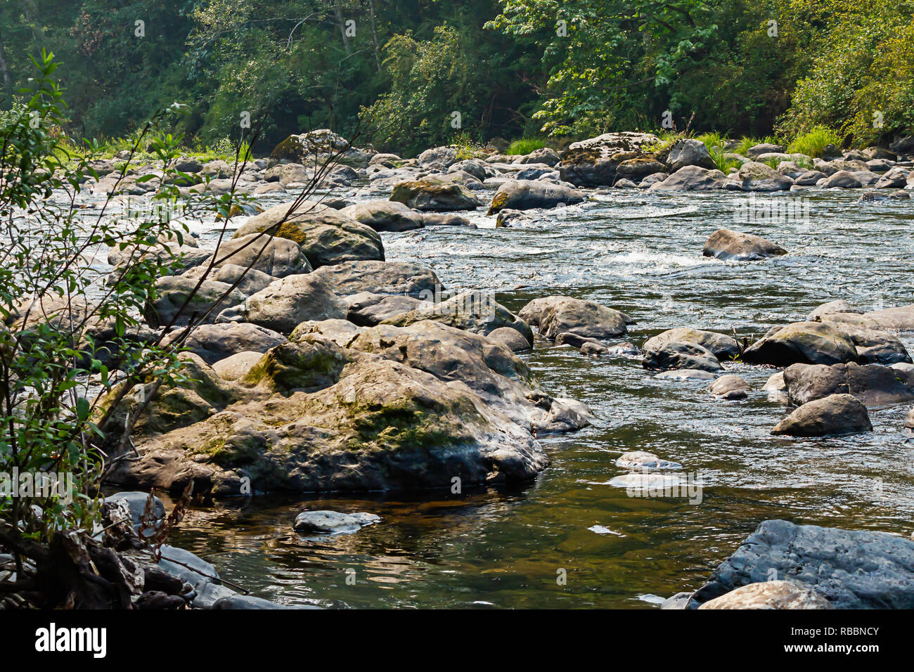green river gorge in washington state with boulders and shallow pools ...