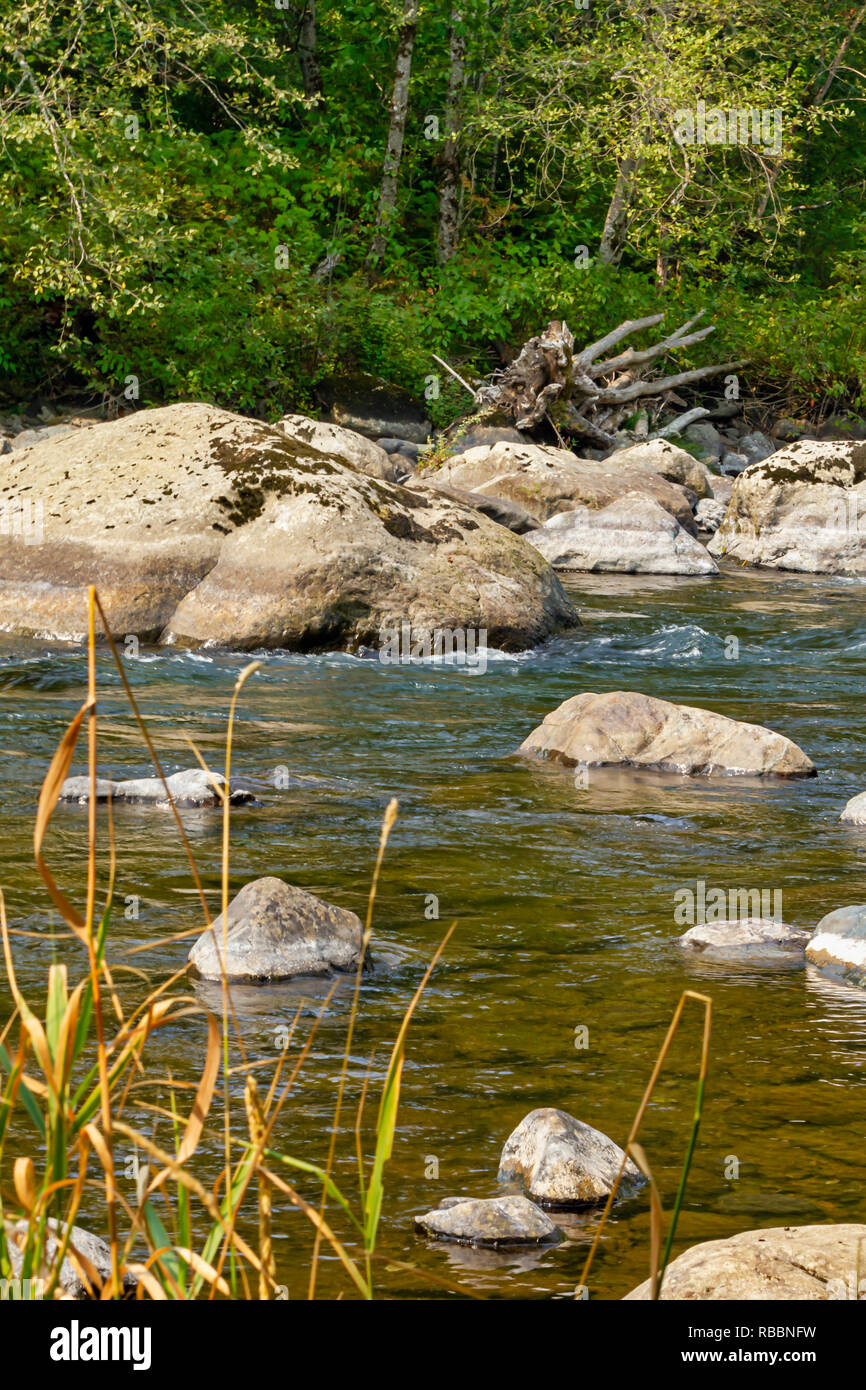 green river gorge in washington state with boulders and shallow pools ...