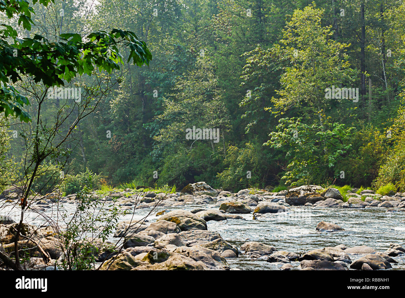 green river gorge in washington state with boulders and shallow pools ...