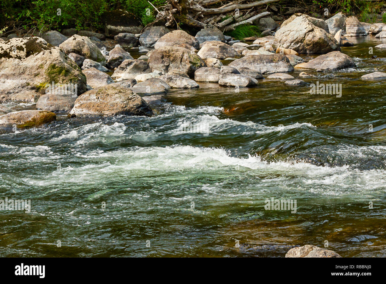 green river gorge in washington state with boulders and shallow pools ...