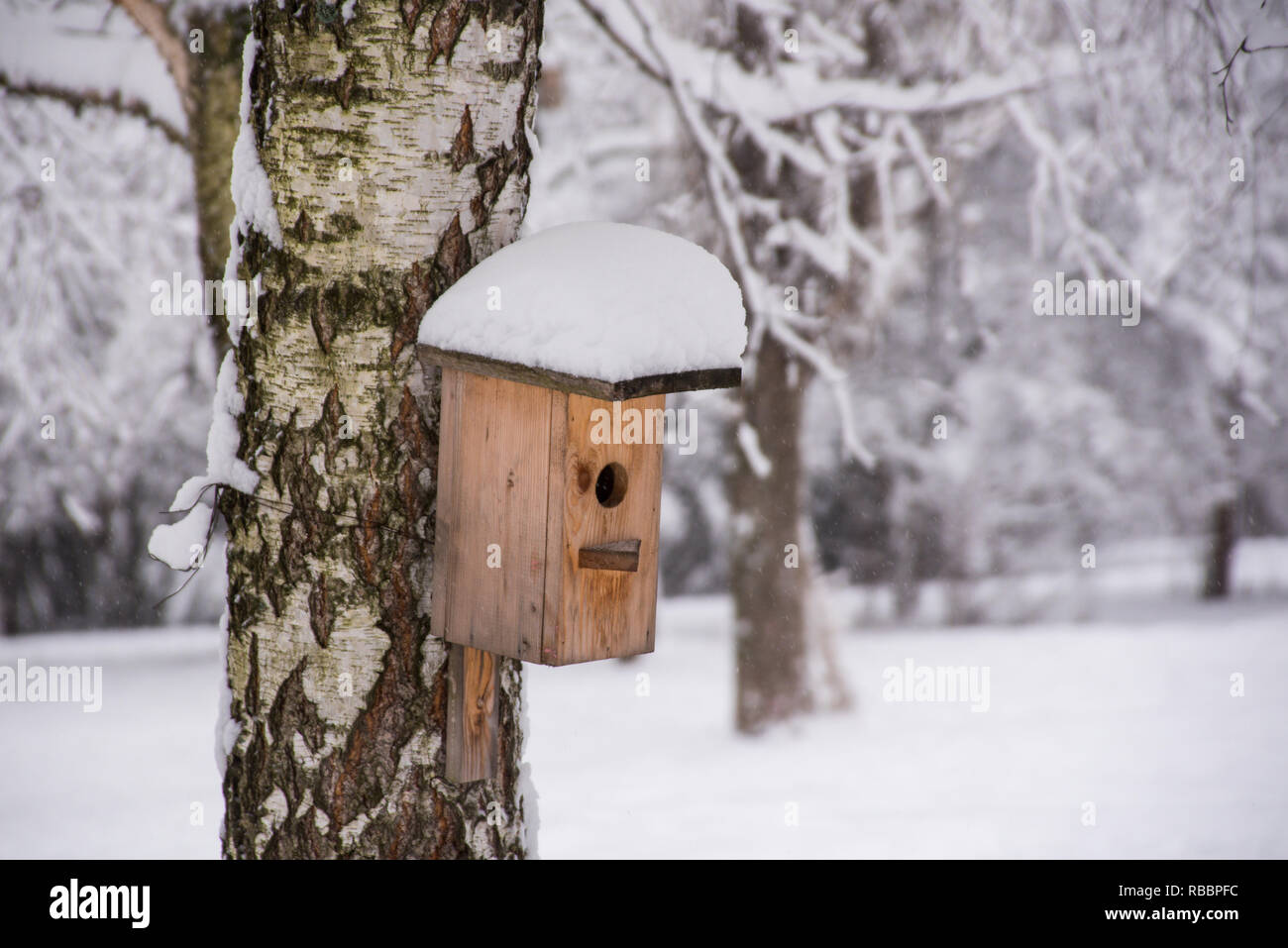 Handmade bird wooden nesting box in winter forest Stock Photo - Alamy