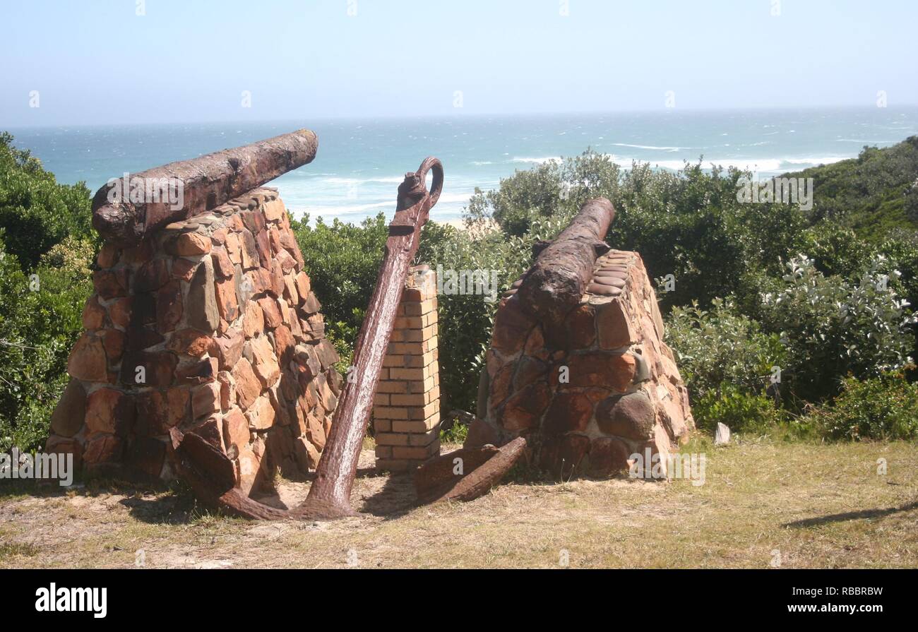 Tree with cluster of blooms in nature Stock Photo - Alamy