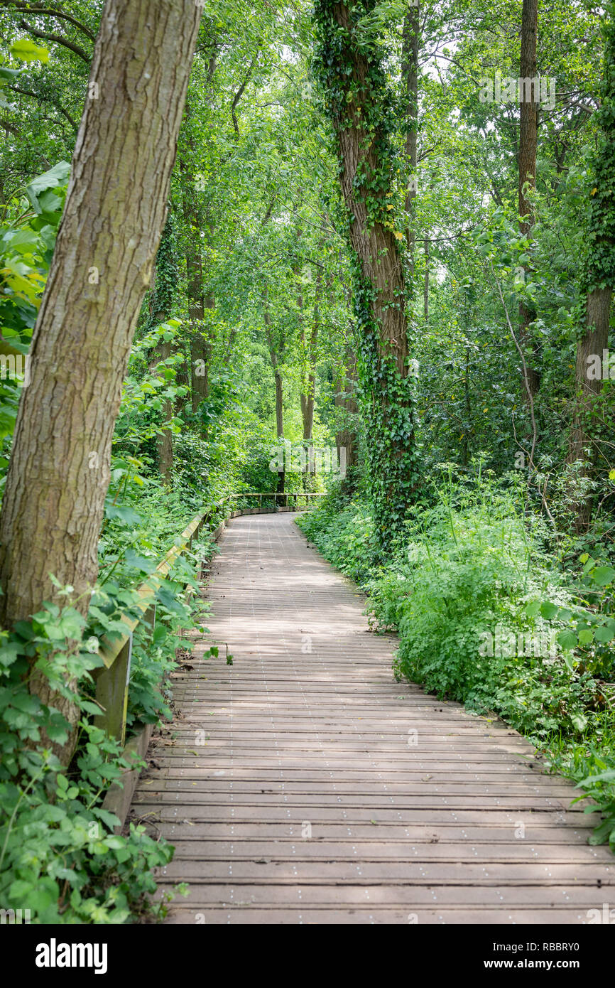 Fleet Pond and footpaths, Farnborough, Hampshire, UK Stock Photo - Alamy