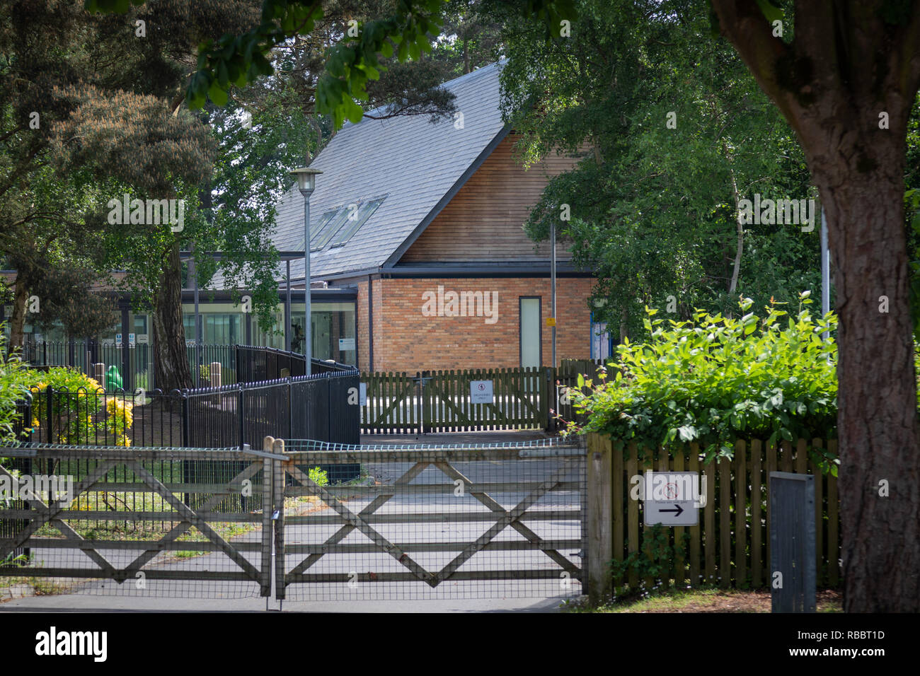 Pinewood england hi-res stock photography and images - Alamy