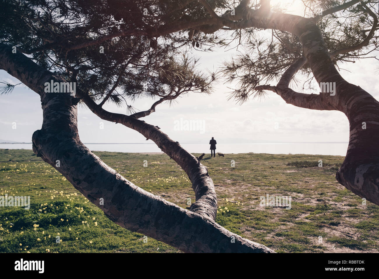 people walking at the beach in a sunny day Stock Photo - Alamy